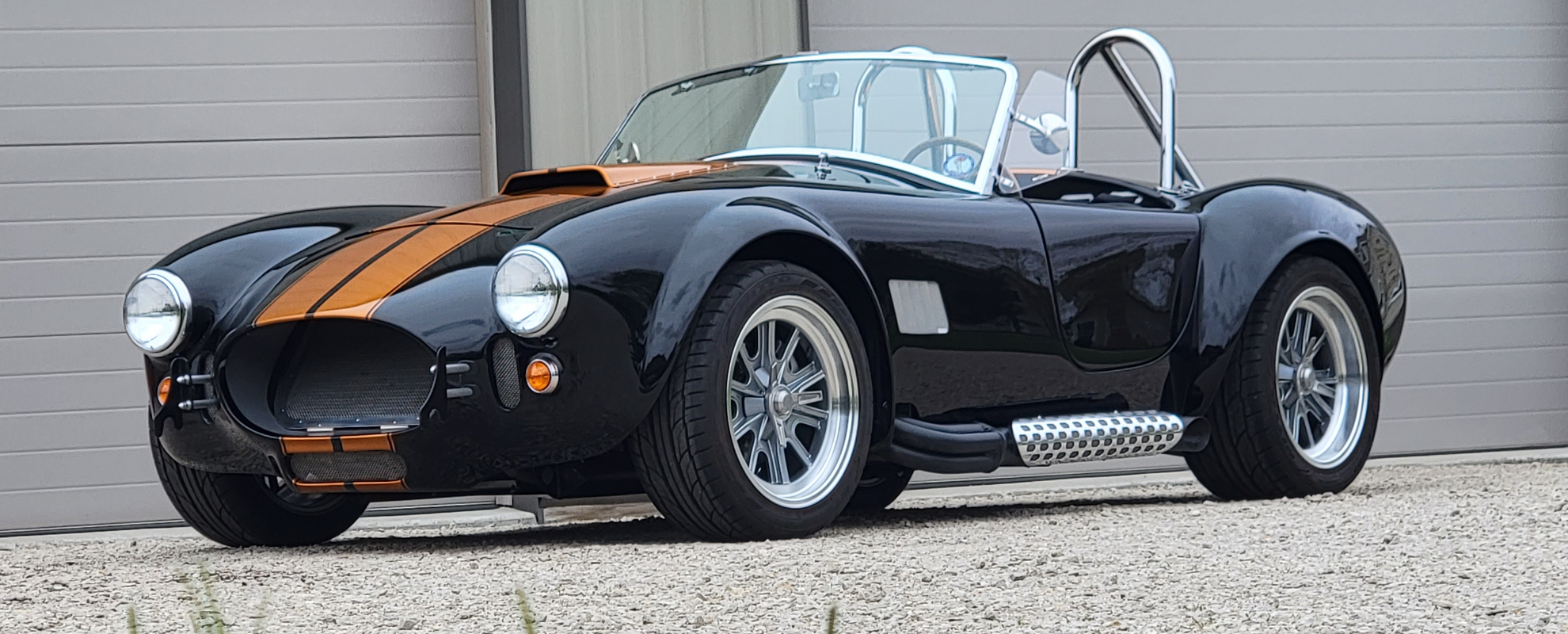 Home Aggressive Cobra Products